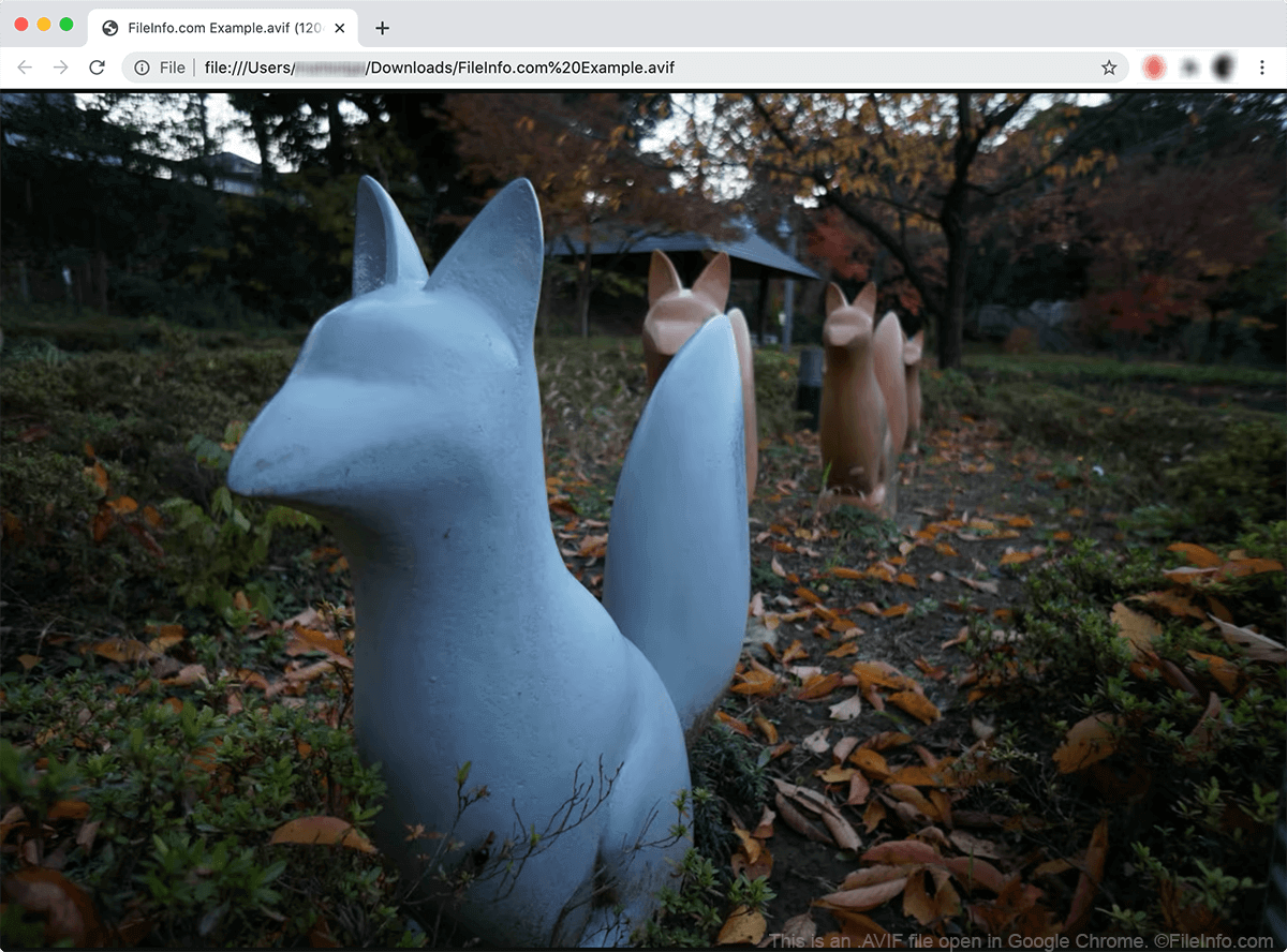 AVIF File Extension - What is an .avif file and how do I open it?
