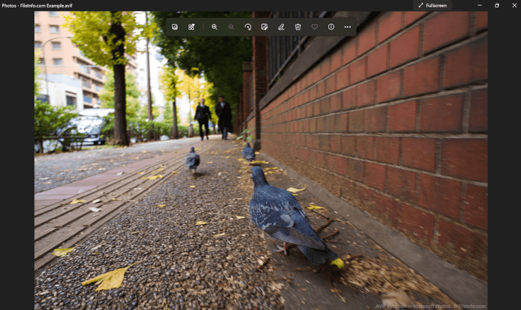 AVIF File - What is an .avif file and how do I open it?