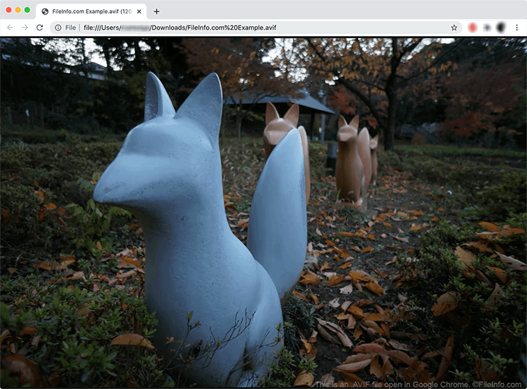 AVIF File Extension - What is an .avif file and how do I open it?