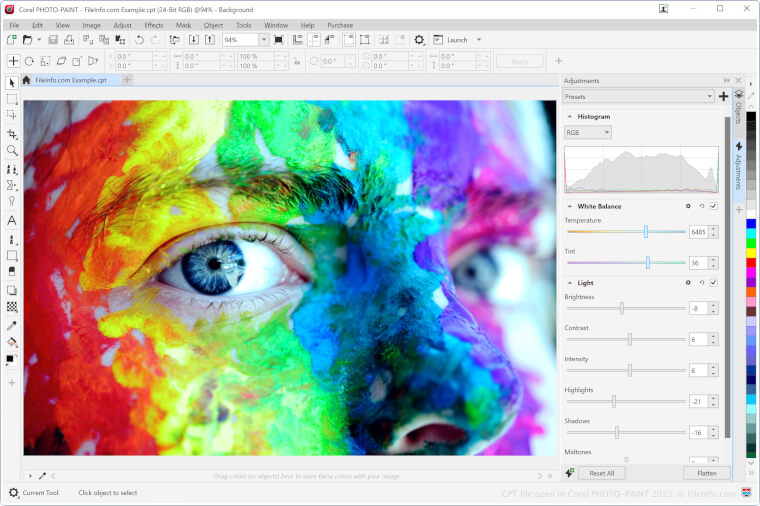 CPT File - What is a .cpt file and how do I open it?