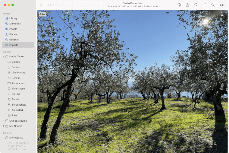 DNG File - What is a .dng file and how do I open it?
