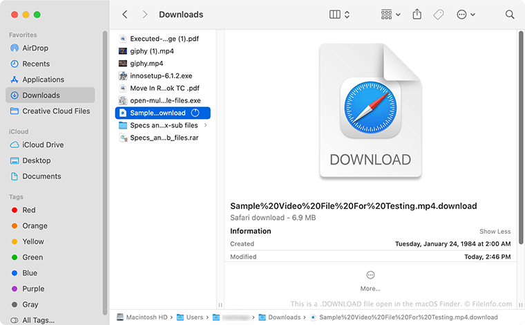 DOWNLOAD File - What is a .download file and how do I open it?