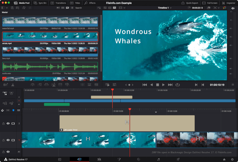 DRP File - What is a .drp file and how do I open it?