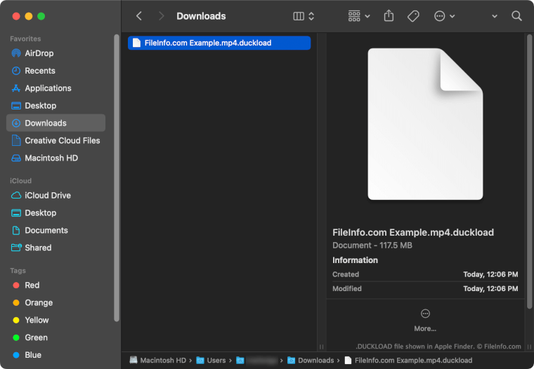DUCKLOAD File - What is a .duckload file and how do I open it?