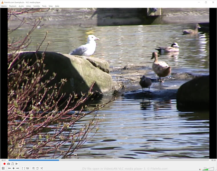 DV File - What is a .dv file and how do I open it?