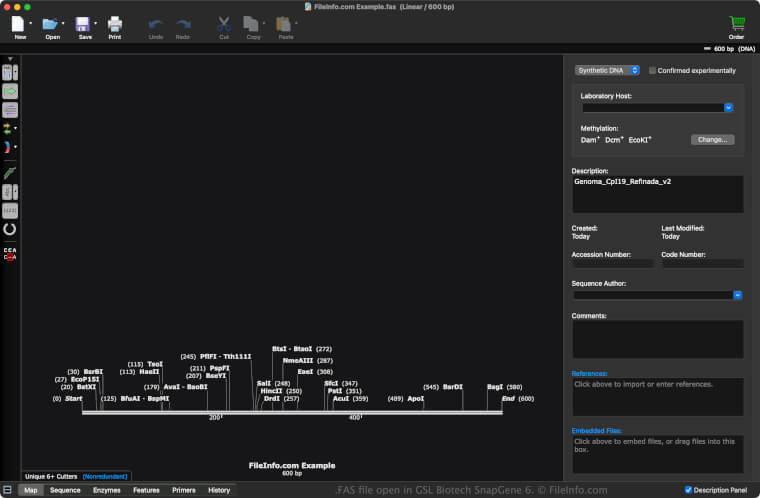 FAS File - What is a .fas file and how do I open it?