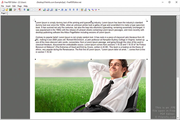 FPE File - What is an .fpe file and how do I open it?