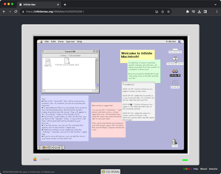 INFINITEMACDISK File - What is it and how do I open it?