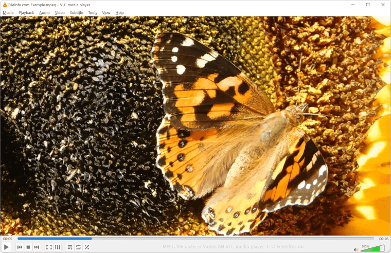 MPEG File - What is an .mpeg file and how do I open it?