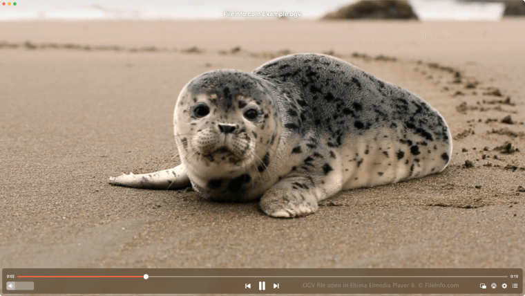 OGV File - What is an .ogv file and how do I open it?