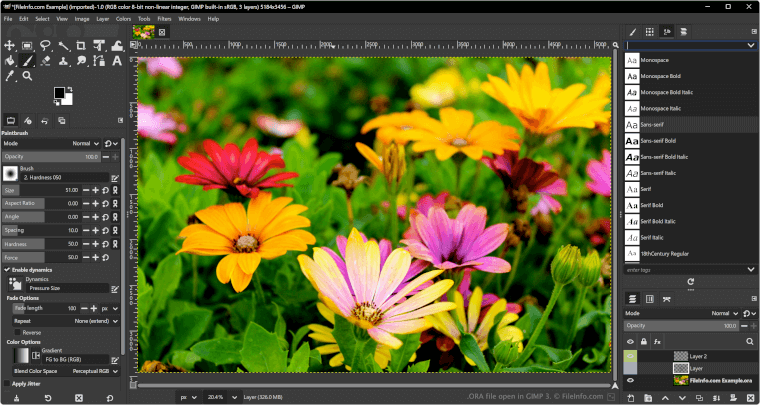 ORA File - What is an .ora file and how do I open it?