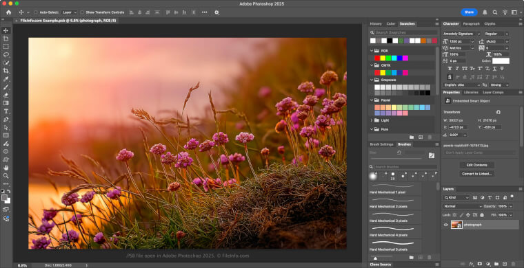 PSB File - What is a .psb file and how do I open it?