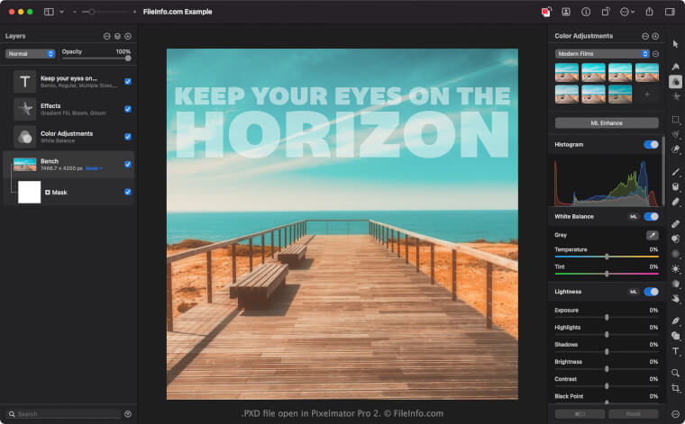 PXD File - What is a .pxd file and how do I open it?