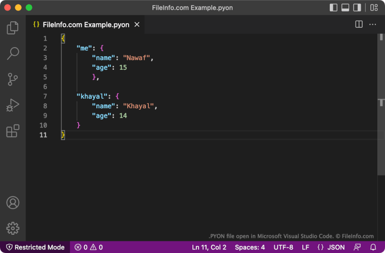 PYON File - What is a .pyon file and how do I open it?