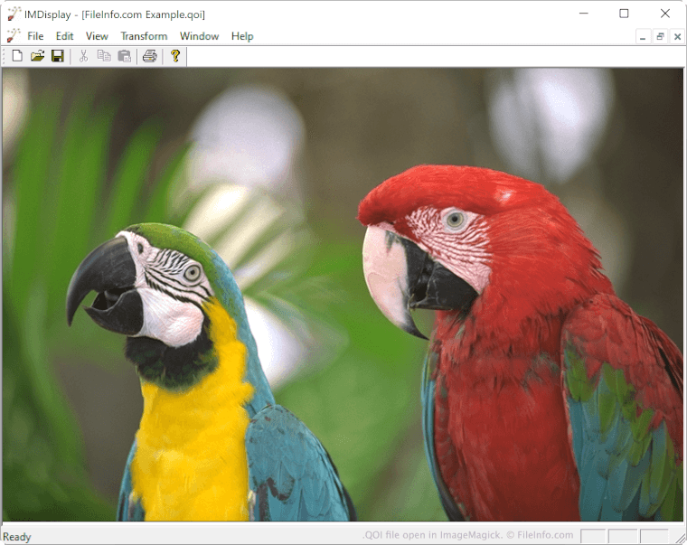 QOI File - What is a .qoi file and how do I open it?