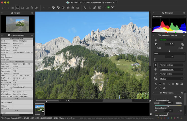 RAF File - What is a .raf file and how do I open it?