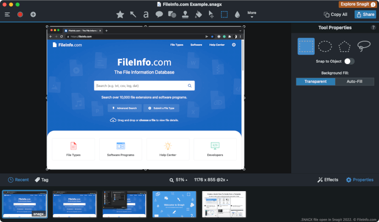 SNAGX File - What is an .snagx file and how do I open it?