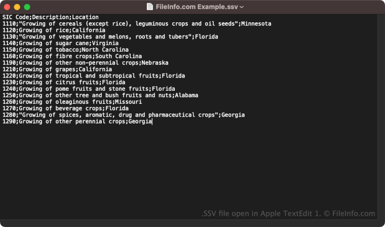 SSV File - What is an .ssv file and how do I open it?