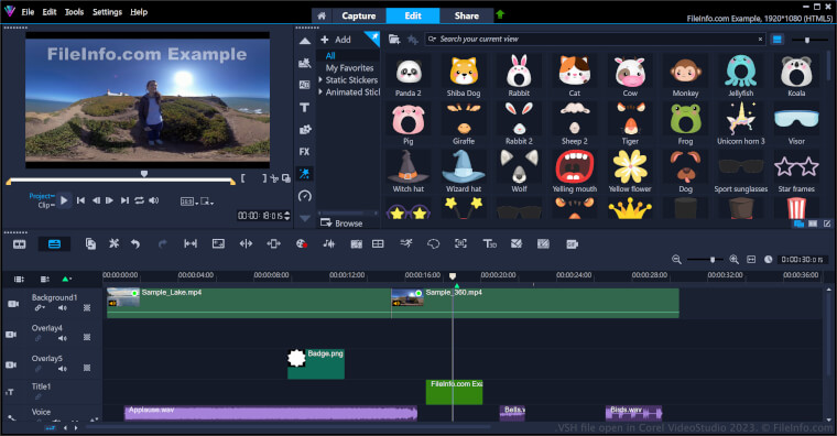 VSH File - What is a .vsh file and how do I open it?