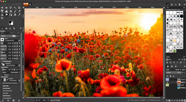 XçF File - What is an .xçf file and how do I open it?