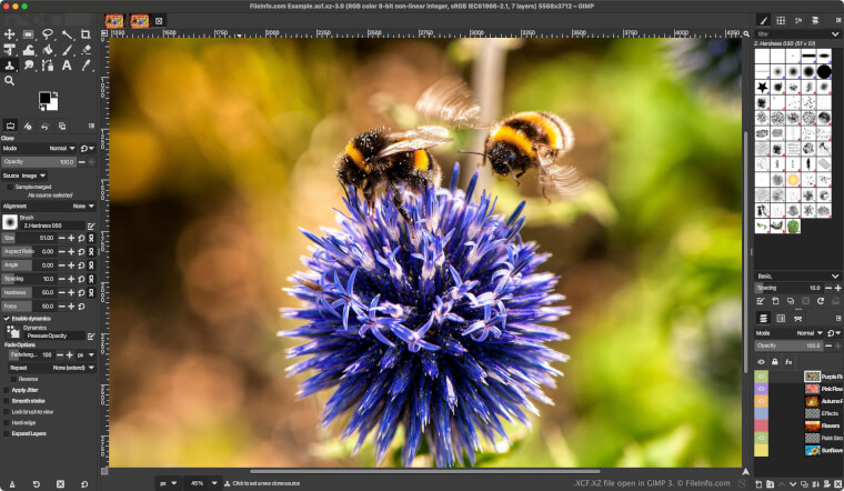 XCF.XZ File - What is an .xcf.xz file and how do I open it?