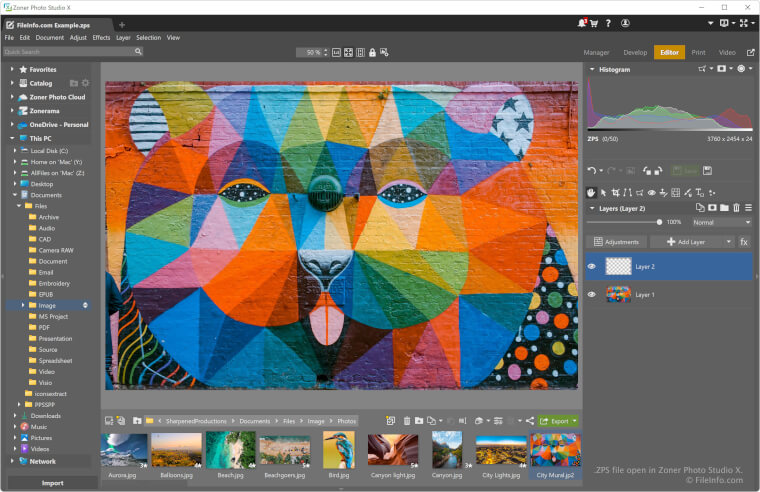 ZPS File - What is a .zps file and how do I open it?