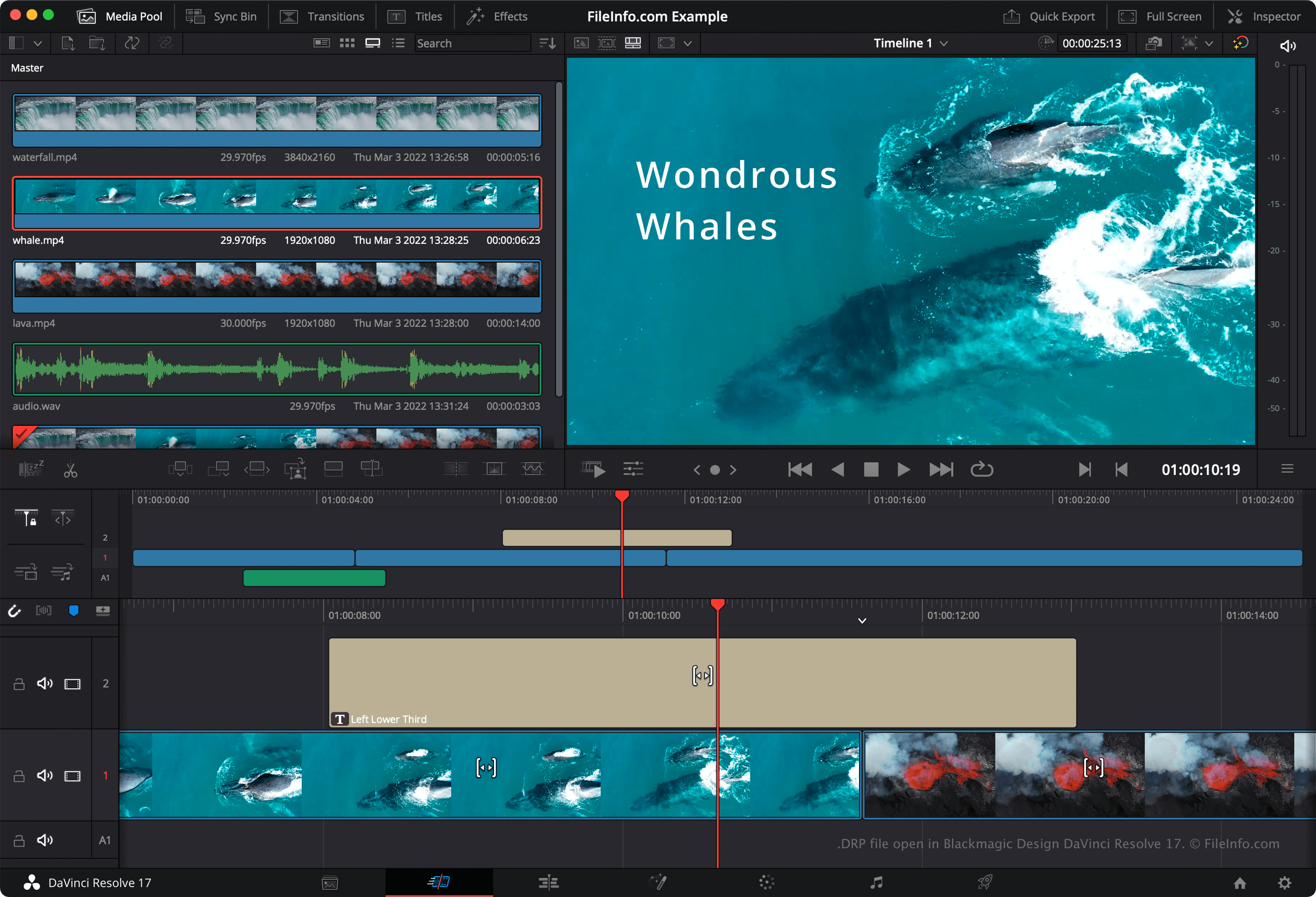 DRP File What Is A drp File And How Do I Open It DRP File What Is A drp File And How Do I Open It
