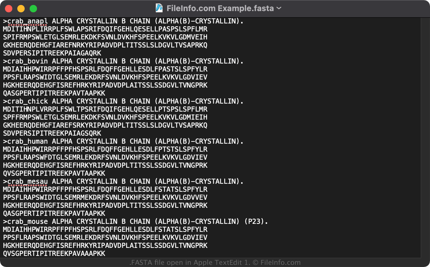 FASTA File What Is A fasta File And How Do I Open It 