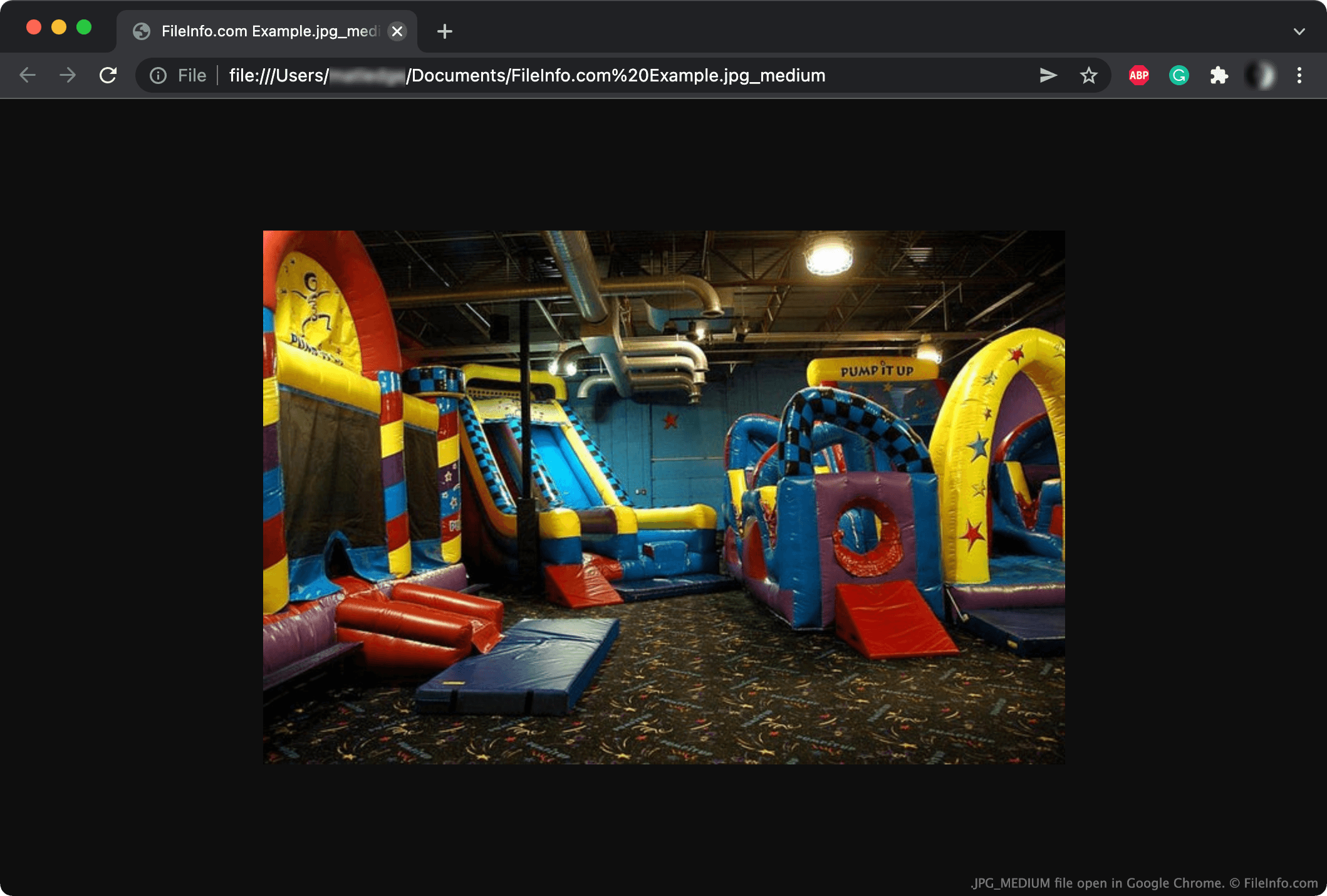 JPG MEDIUM File What Is It And How Do I Open It 