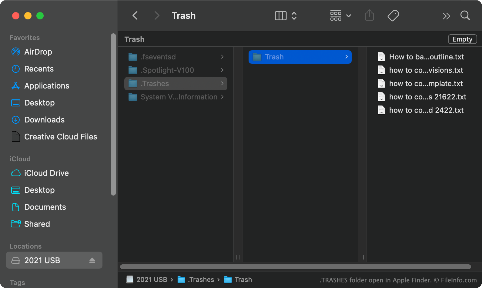 TRASHES File Extension What Is A trashes File And How Do I Open It 